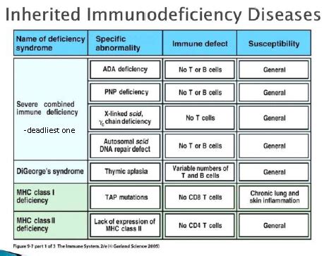 Mmi Unit 5 Immunodeficiency I Flashcards Quizlet