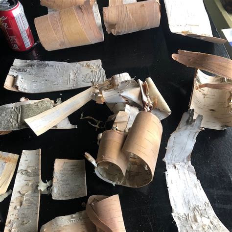 Birch Bark Strips Etsy