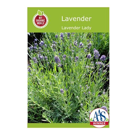 Lavender Lavender Lady My Organic World