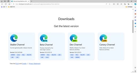 Python Selenium Microsoft Edge 自动测试网站python Selenium Edge Csdn博客