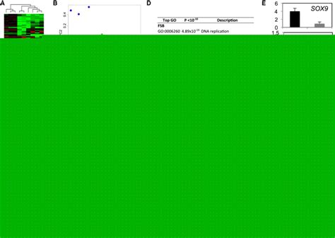 Comparative Transcriptome Analysis Of Ectomesenchymal Cells Using The