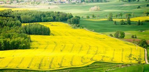 Kujawski бренд №1 серед польських олій відтепер представляє свої