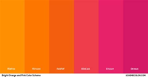 Bright Orange And Pink Color Scheme Palettes