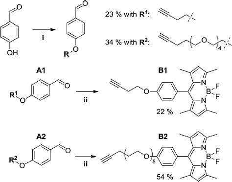 Synthesis Of Alkyne Functionalized Bodipy Derivatives Reaction