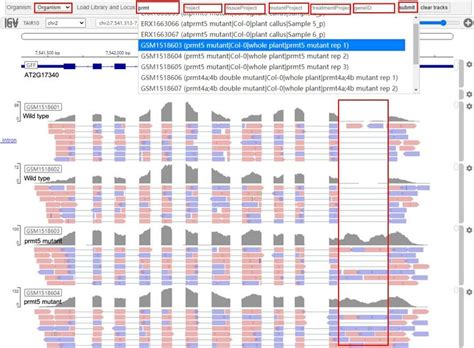 Result Of The Selected Intron A A Table For The Selected Intron Download Scientific Diagram