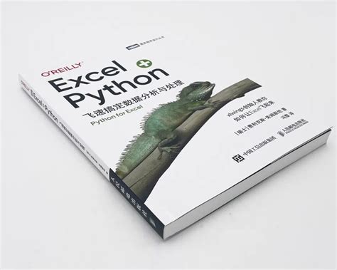 Python 助力 Excel数据分析与处理效率飞跃 好书推荐 冷月清谈