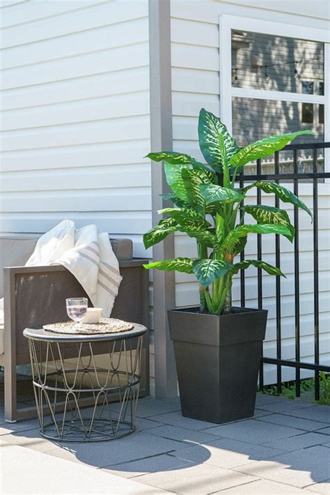 Dieffenbachia Artificiel En Pot Extérieur 53 Décors Véronneau