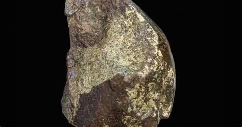 Emily Young Publications Willoughby Gerrish Ltd