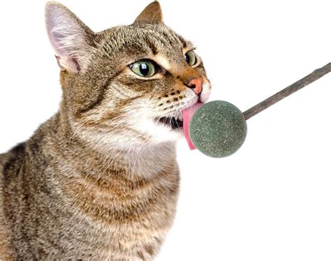 Catnip Candy Stick Lollipop Bumbles Paw