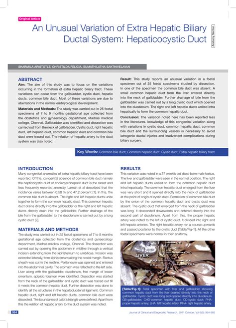 Pdf An Unusual Variation Of Extra Hepatic Biliary Ductal System