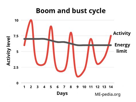 Bust Cycle Meaning At Tracy Olson Blog