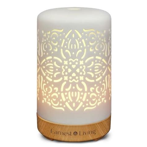 Top 10 Best Ceramic Essential Oil Diffuser Reviews And Buying Guide Katynel
