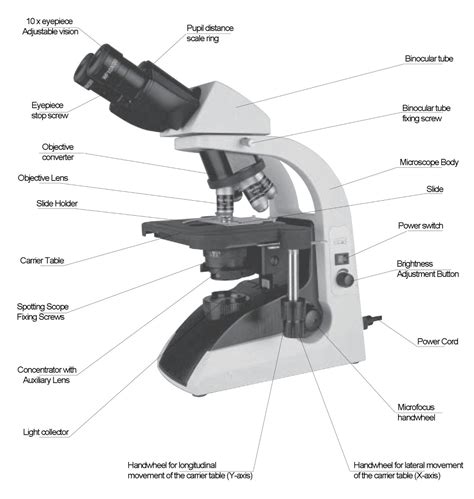 Microscope Parts And Definitions