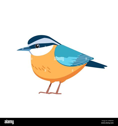 Eurasian Passerine Stock Vector Images Alamy