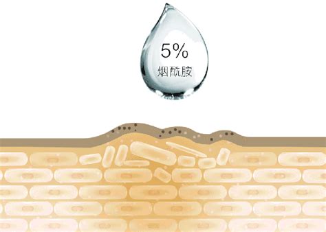 含烟酰胺的护肤品有哪些作用功效 知乎