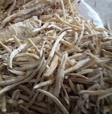 دیسی دواخانہ