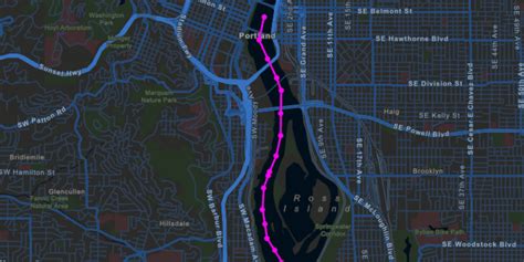 Densify And Generalize Arcgis Maps Sdk For Java Esri Developer