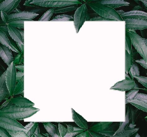 Premium Photo Paper Notes On Green Leaf Background