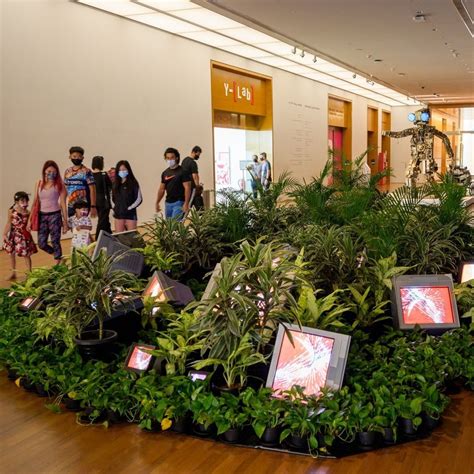 گالری اینفو نمایشی بزرگ از آثار نام جون پایک در گالری ملی سنگاپور