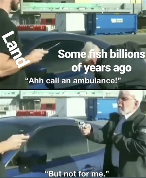 Evolutionist Maymay Rmemes