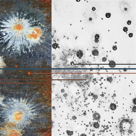 On View Now Lisa Stefanelli “shot” An Exclusive Artsy Online