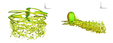 a cfd flowfield simulation of coaxial rotor in hover flight b