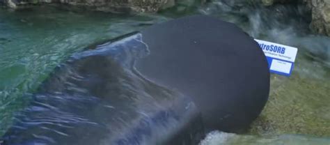 Eutrosorb Introductionn