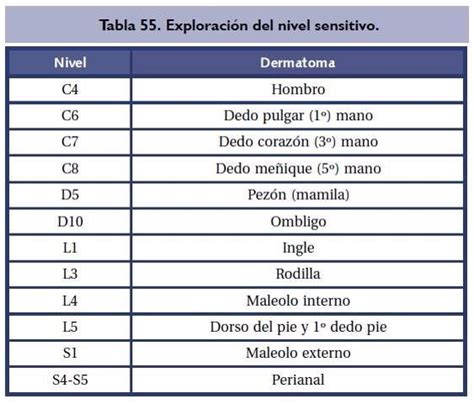 Tabla De Miotomas Y Dermatomas