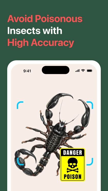 Ai Insect Identifier Bugbug By Sirozh Tursunov
