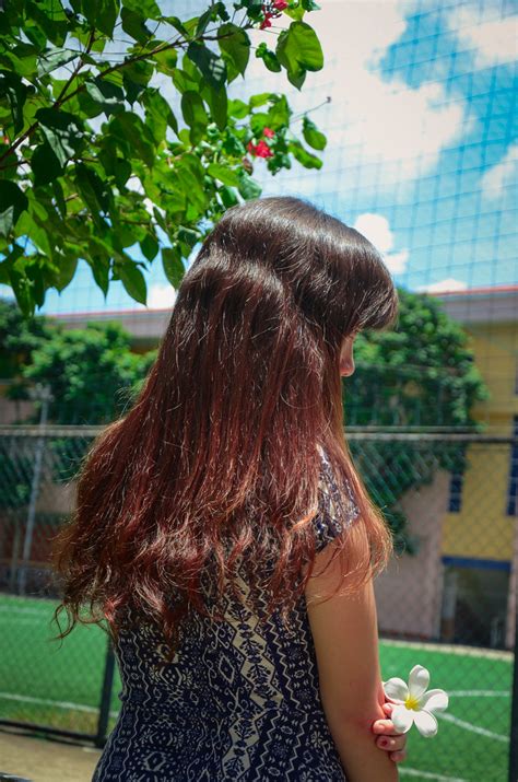 Dsc2775 Choco Cat ♥ Flickr