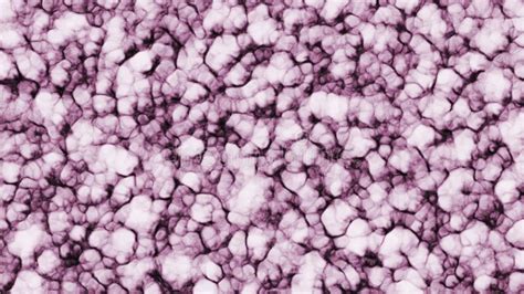 3d Animation With Moving Particles In Mass Motion A Lot Of Moving 3d Molecules In Liquid Mass