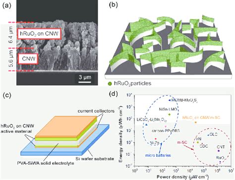 A Cross Section Sem Image Of A Cnw Film Bottom Electrodeposited By