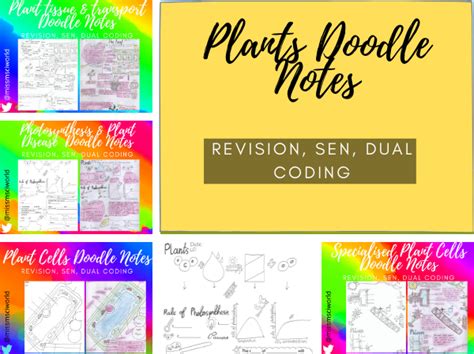 Plants Science Doodle Notes Teaching Resources