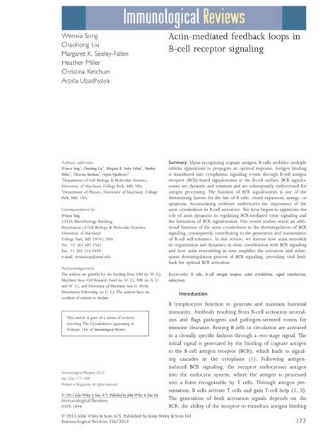 Pdf Actin Mediated Feedback Loops In B Cell Receptor Signaling Dokumentips