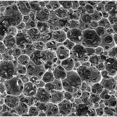 Fundamental Concepts Of Polyurethane Foam Cell Structure Cell Window Download Scientific