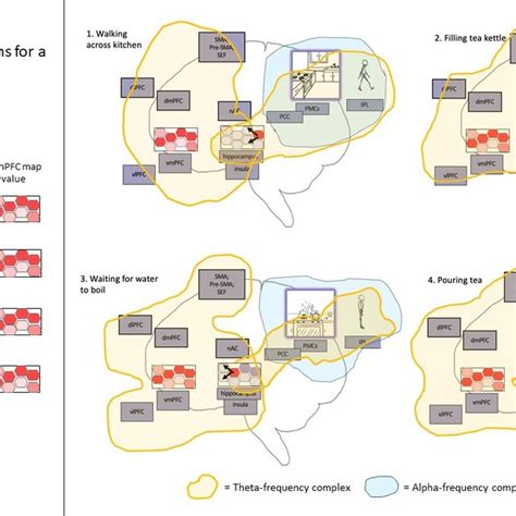 a schematic of hierarchical predictive processing in the brain left