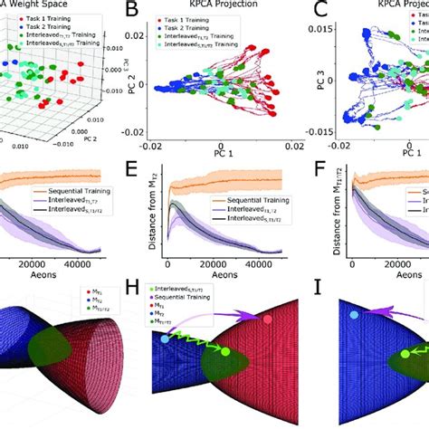 receptive fields of output and hidden layer neurons determine the agent