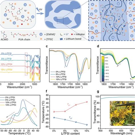 Schematic Illustration And Structural Characterization A The