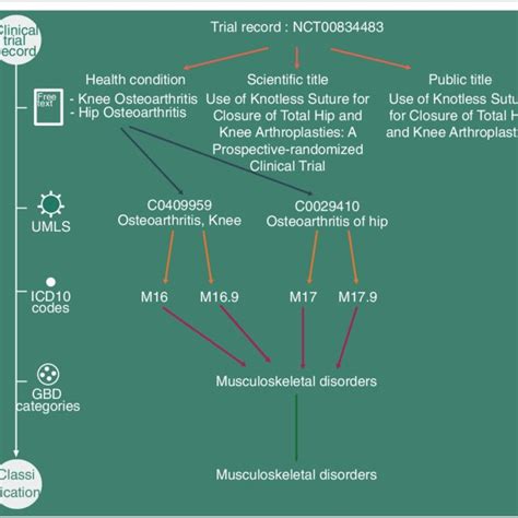 Example Of Classification Of A Clinical Trial Record Towards The Gbd