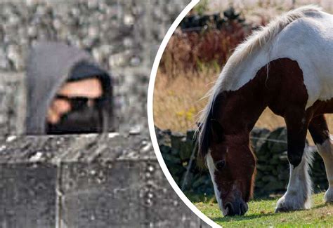 Former Dover Mayor Neil Rix Sickened As Man Convicted Of Having Sex