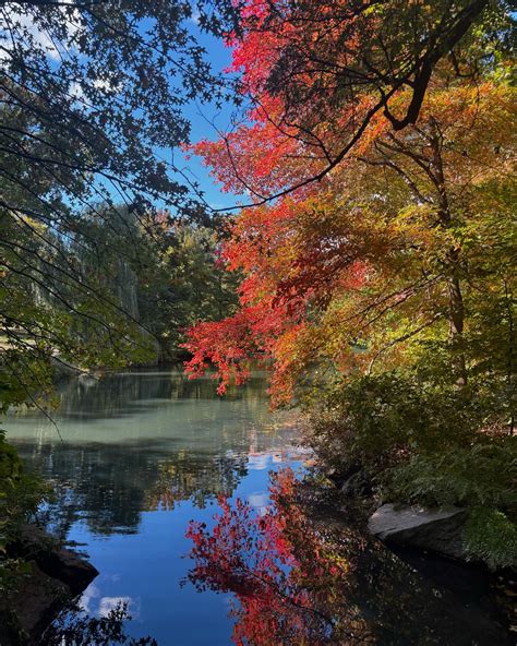 Caleb Mcarthur Calebbmcarthur • Instagram Photos And Videos