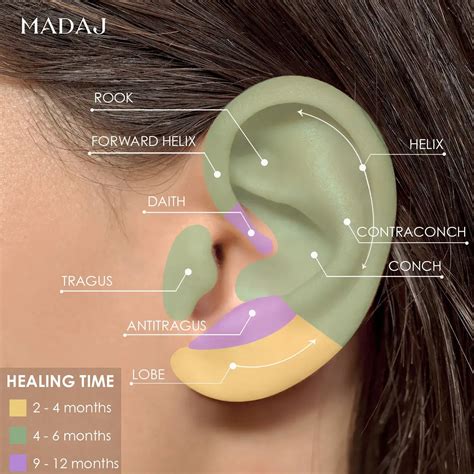 Ear Piercings Healing Time Full Guide Madaj Piercings