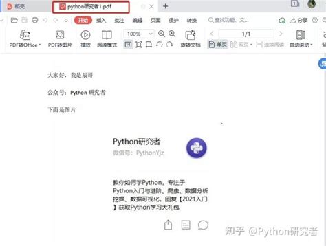 Python Pdf转word文档怎么转pythonpdf转word专业级pythonpdf怎么转换成word Csdn博客