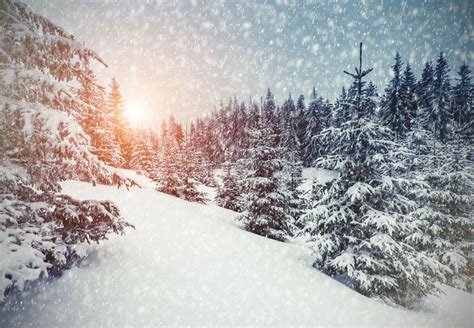 Snow Fall Wallpapers Top Free Snow Fall Backgrounds Wallpaperaccess