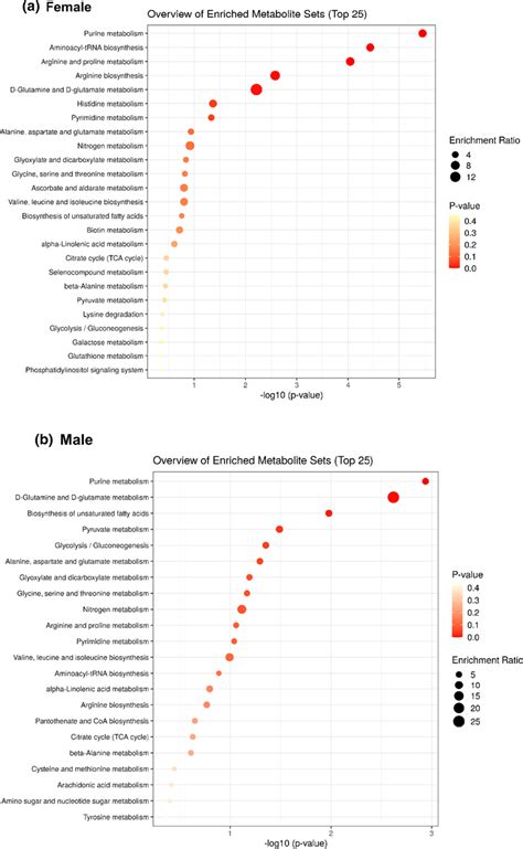 Metabolomics Signaling Pathways Alter With Age In Bones Of A Female And