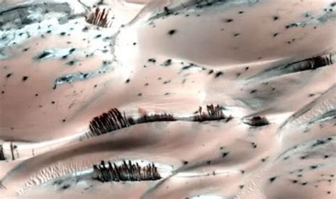 Nasa Photos Of Mars Trees Explained How Did Nasas Perseverance