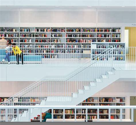 Reports Gender Diversity