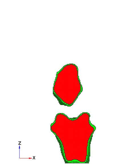 6 Cross Section Of The Voxel Mesh Left And Simulation Results