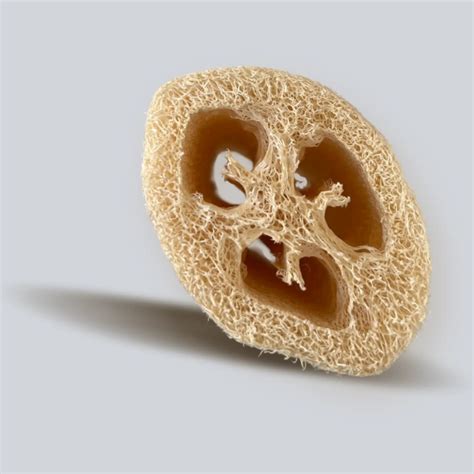 Natural Loofah Natural Sponges