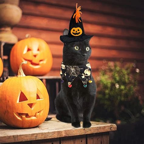 Black Cat Halloween Costumes